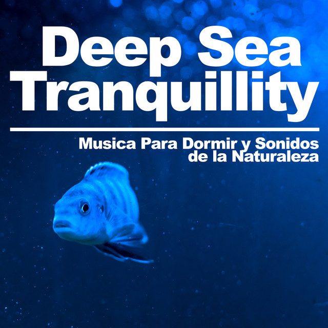 Deep Sea Tranquillity - Album by Musica Para Dormir y Sonidos de la ...