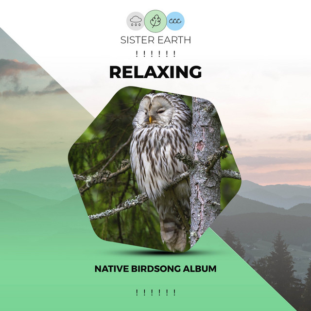 Solar Eclipse - song and lyrics by Soothing Nature Sounds | Spotify