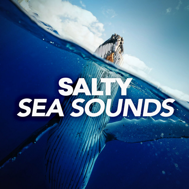 Splashing on the Pier - song and lyrics by Relaxing Sea Sounds | Spotify