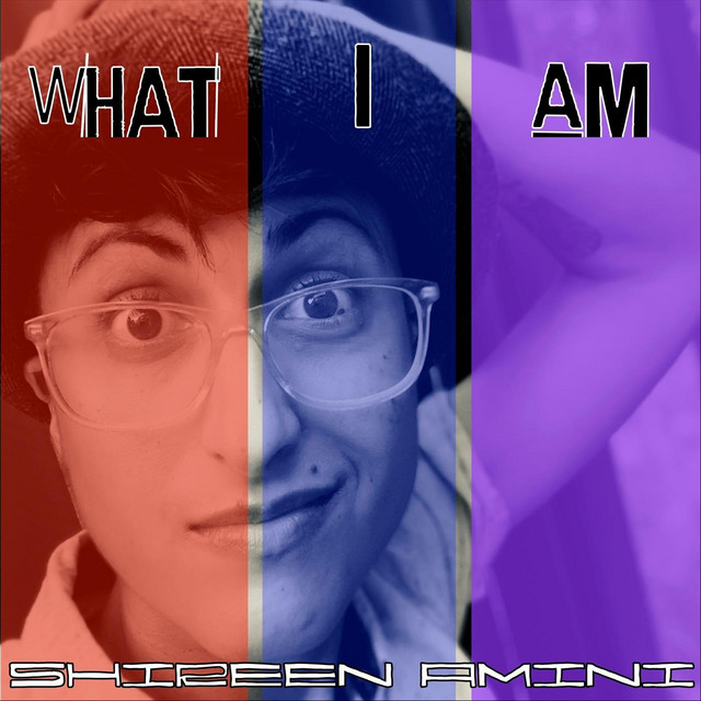 What I Am (A Non-Binary Song) - Single by Shireen Amini | Spotify