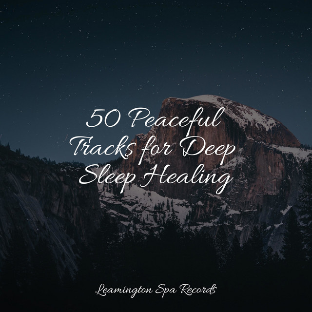 50 Peaceful Tracks for Deep Sleep Healing - Album by Pro Sounds of ...