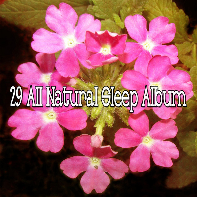29 All Natural Sleep Album - Album by Pro Sound Effects Library | Spotify