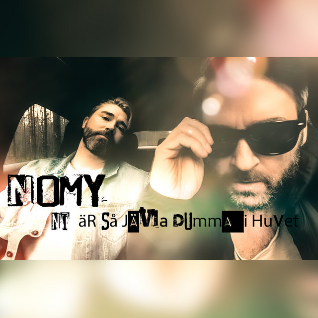 Ni är så jävla dumma i huvet - Album by Nomy | Spotify