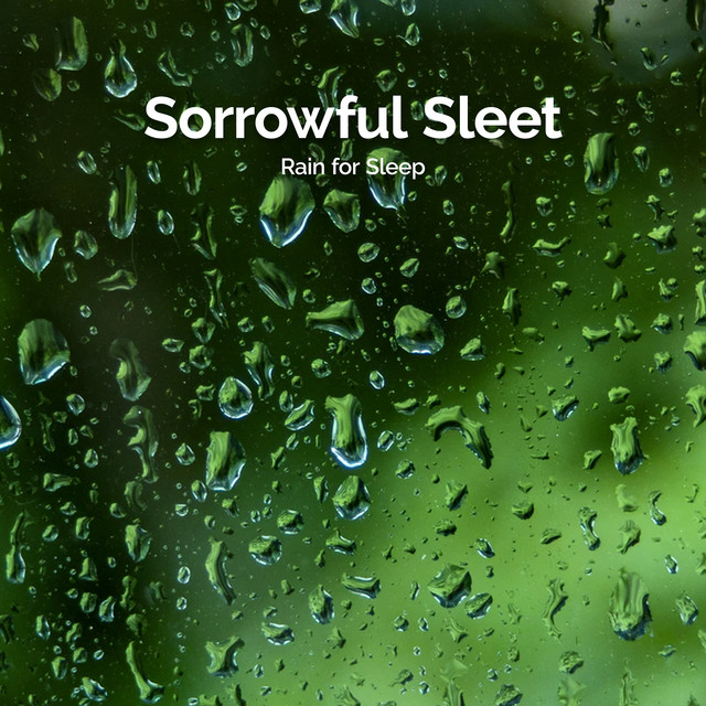 Sorrowful Sleet - Album by Rain for Sleep | Spotify