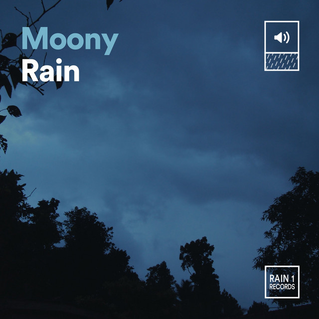 Moony Rain - Album by Stormy Station | Spotify