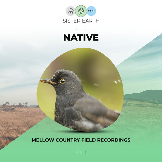 Mellow Native Country Field Recordings ! ! ! - Album by White Noise ...