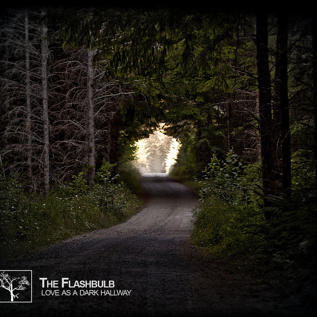 Love as a Dark Hallway - Album by The Flashbulb | Spotify