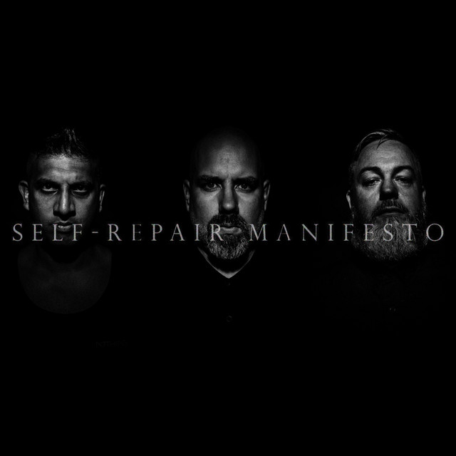 Self Repair Manifesto - song and lyrics by Nothing | Spotify