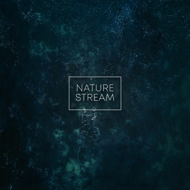 Nature Stream - Album by Spa Music | Spotify