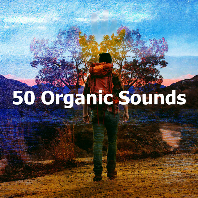 50 Organic Sounds - Album by Nature Sounds - Sons de la nature | Spotify