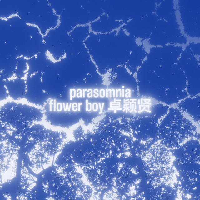 Parasomnia - song and lyrics by Flower Boy 卓颖贤 | Spotify