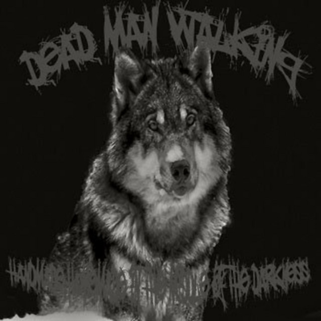 BPM and key for songs by Dead Man Walking | Tempo for Dead Man Walking ...