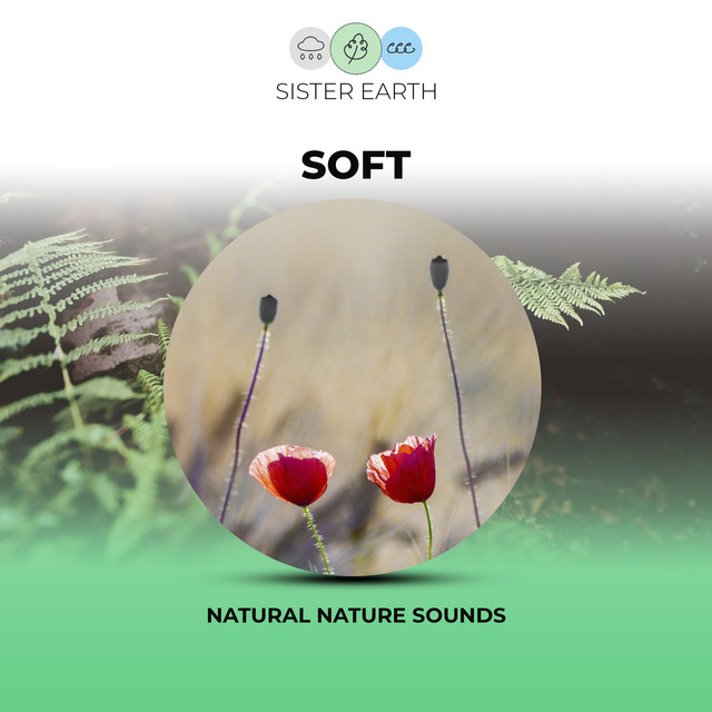 Soft Natural Nature Sounds - EP by Sleep Sounds of Nature | Spotify