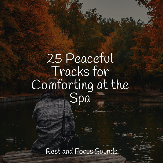 25 Peaceful Tracks for Comforting at the Spa - Album by Baby Relax ...
