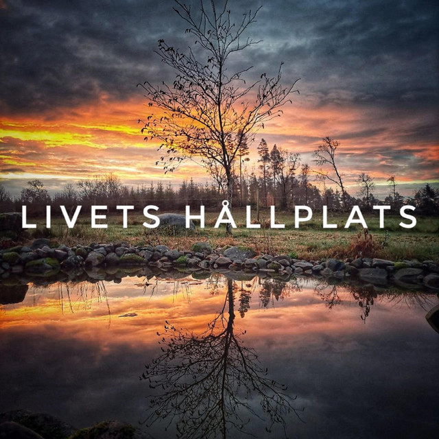 Livets hållplats (Remastered) - Single by Martin Boo | Spotify