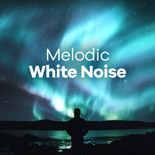 Bass Bleeper - song and lyrics by White Noise Therapy | Spotify