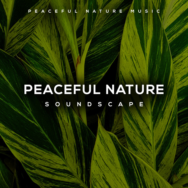 Walking Through The Rainforest - song and lyrics by Peaceful Nature ...