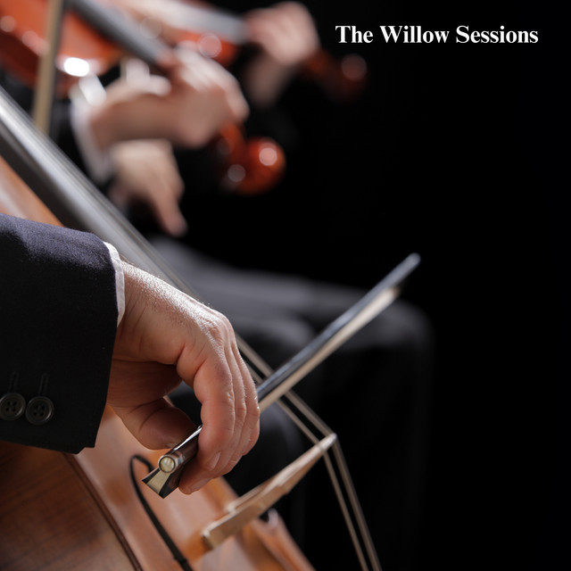 The Willow Sessions - Album by Sebastián Van Ley | Spotify