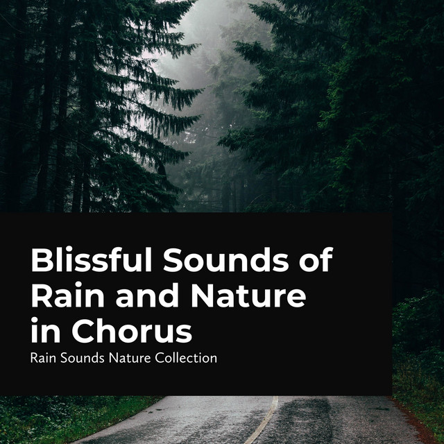 Blissful Sounds of Rain and Nature in Chorus - Album by Rain Sounds ...