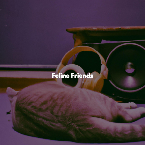 Feline Friends - Album by Hotel Chillout Lounge | Spotify