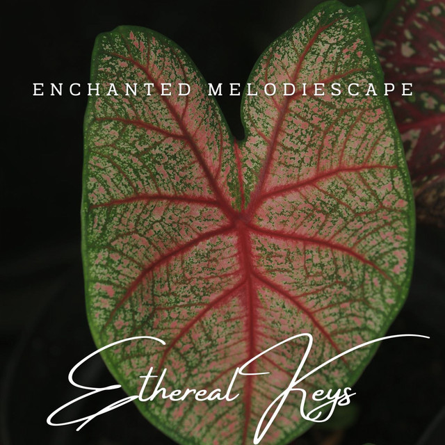 Ethereal Keys: Meditative Piano Harmonies - Album by Relaxing Piano Man ...