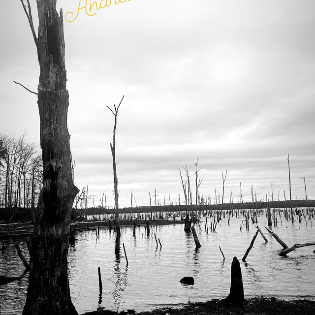 Andrew Stoddard | Spotify