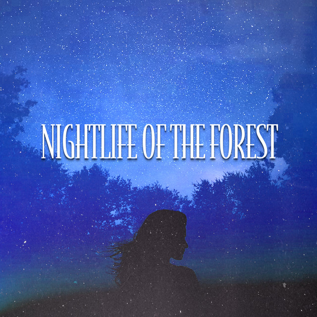 Nightlife of the Forest - Album by Night Sounds | Spotify