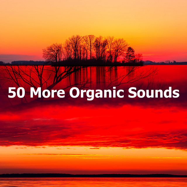50 More Organic Sounds - Album by Nature Sounds - Sons de la nature ...