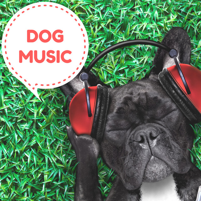 Dog Music – Relaxing Piano Pet Therapy with Soothing Nature Sounds ...