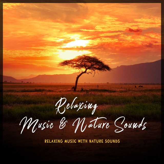 Relaxing Music & Nature Sounds - Album by Relaxing Music with Nature ...