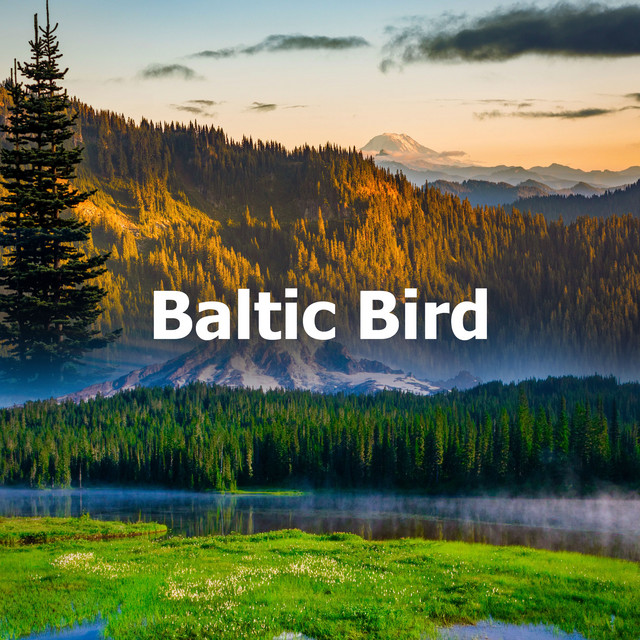 Baltic Bird - Album by Baltic Nature Sounds | Spotify