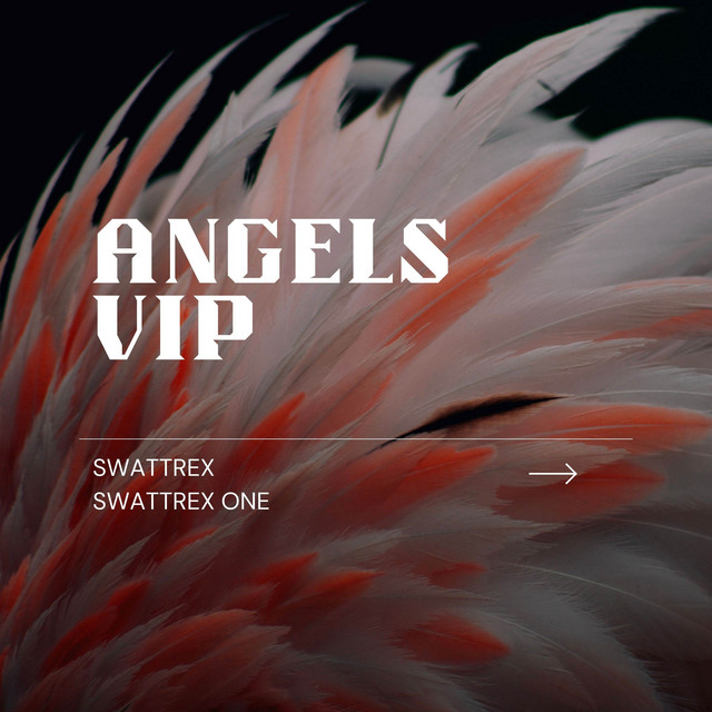 Angels VIP - Single by Swattrex | Spotify