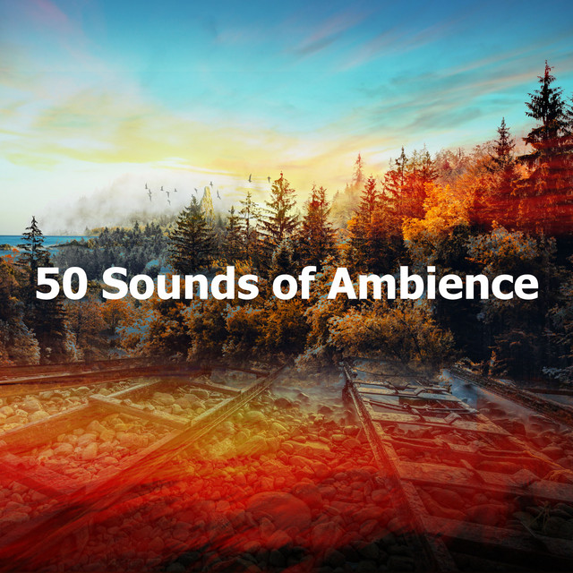 50 Sounds of Ambience - Album by Ambiente | Spotify