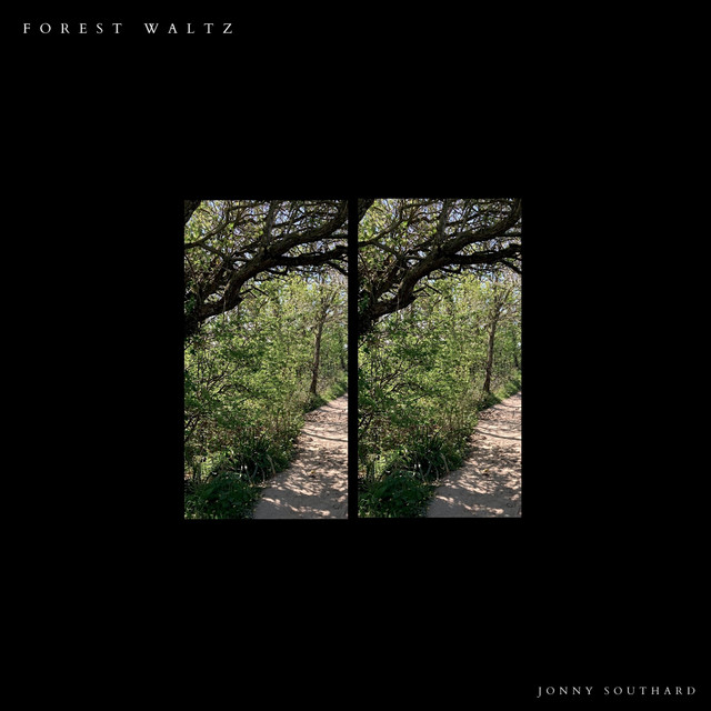 Forest Waltz - song and lyrics by Jonny Southard | Spotify