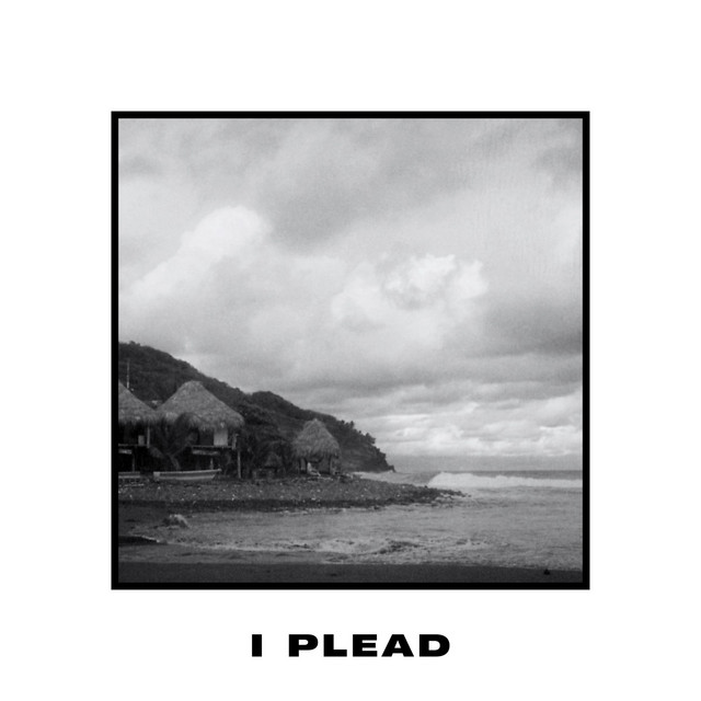 I Plead - song and lyrics by Possum Pants | Spotify