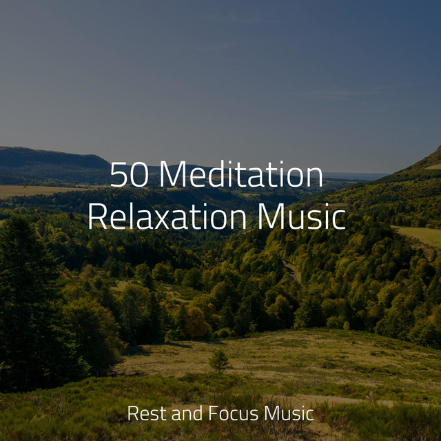 50 Meditation Relaxation Music - Album by White Noise Baby Sleep | Spotify
