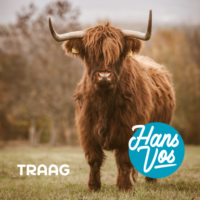 Traag - Single by Hans Vos | Spotify