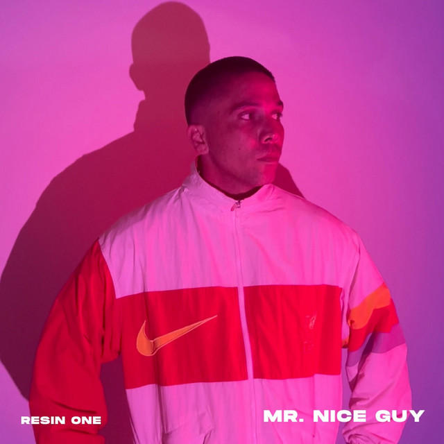 Mr. Nice Guy - song by Resin one | Spotify