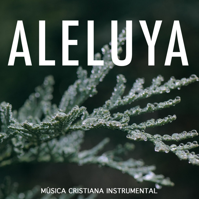 Aleluya - Album de MUSICA CRISTIANA INSTRUMENTAL | Spotify