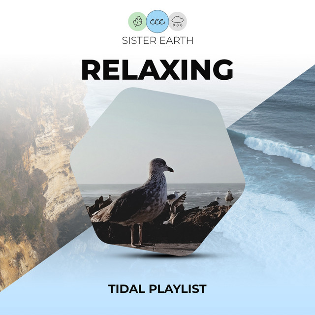 Relaxing Tidal Playlist - Album by Ocean Sounds | Spotify