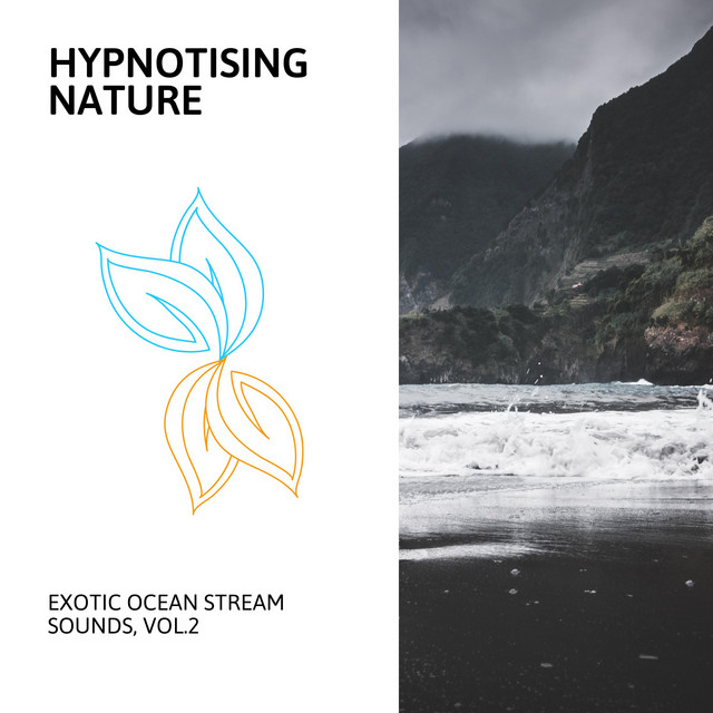 Night Time Crickets Sound - song and lyrics by The Nature Agency | Spotify
