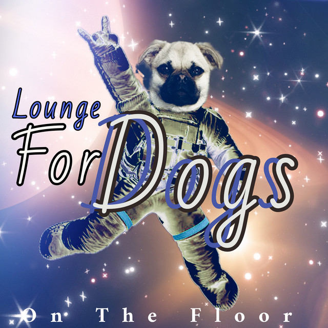 On The Floor - Single by Lounge for Dogs | Spotify