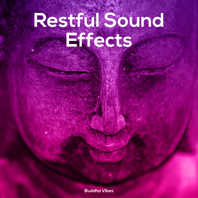 Restful Sound Effects - Album by Buddha Vibes | Spotify