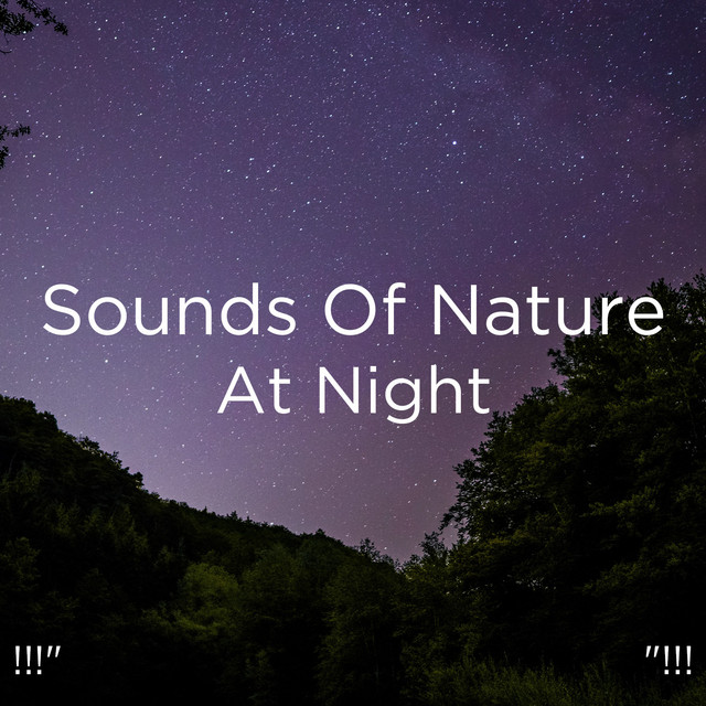 Sounds Of Nature At Night "!!! - Album by Nature Sounds Nature Music ...