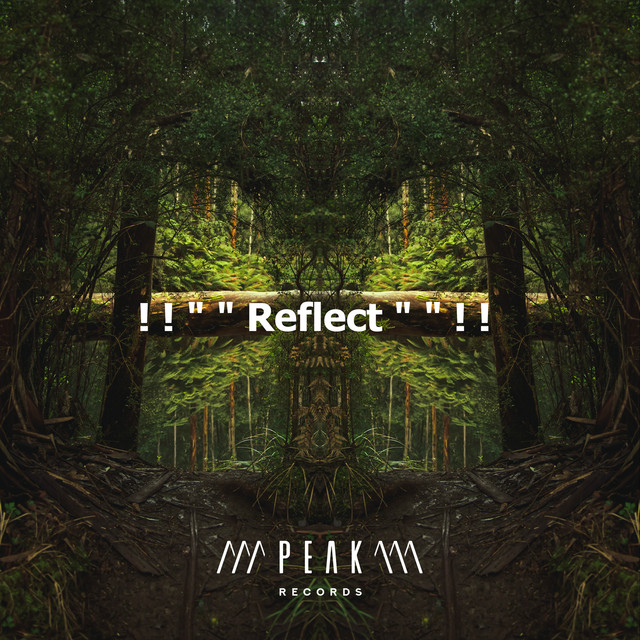 Reflect " " ! ! - Album by Forest Sounds | Spotify