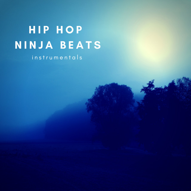 Instrumentals vol.1 - EP by Hip Hop Ninja Beats | Spotify