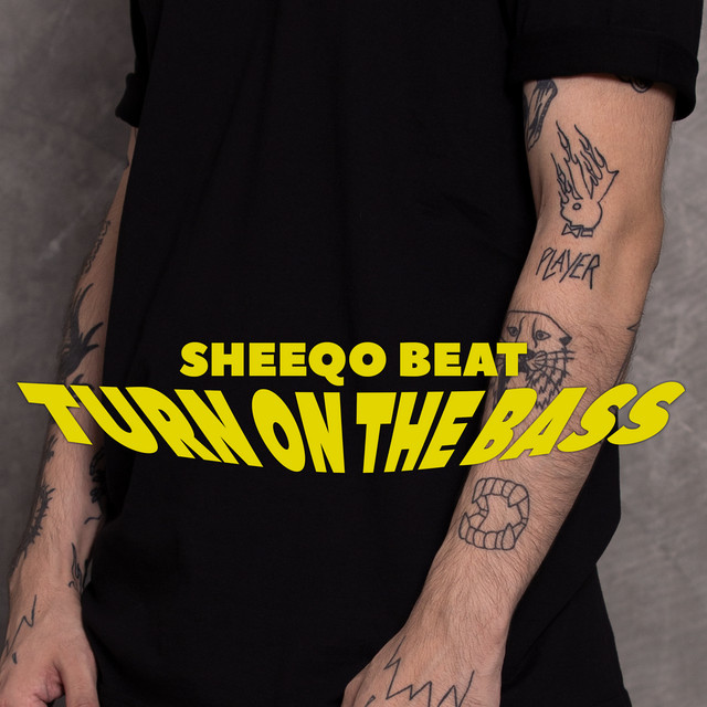 Turn On the Bass - song and lyrics by Sheeqo Beat | Spotify