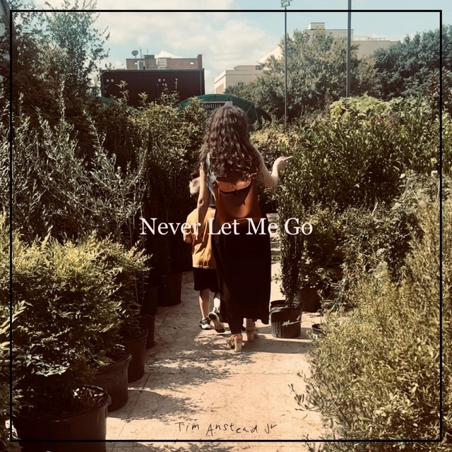 Never Let Me Go - Single by Tim Anstead Jr | Spotify