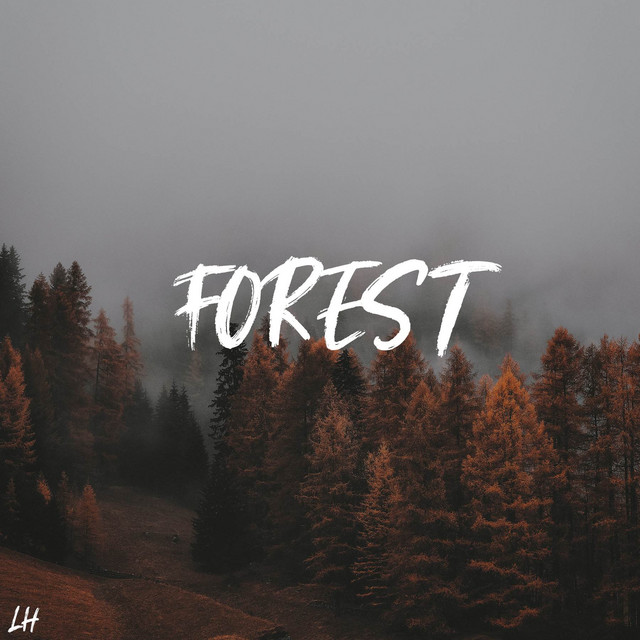 Forest - song and lyrics by Logan Heightchew | Spotify