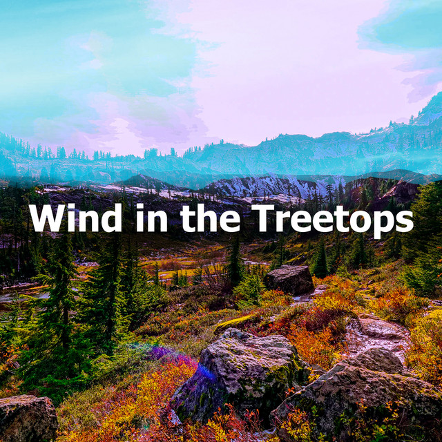 Wind in the Treetops - Album by Nature Soundscapes | Spotify